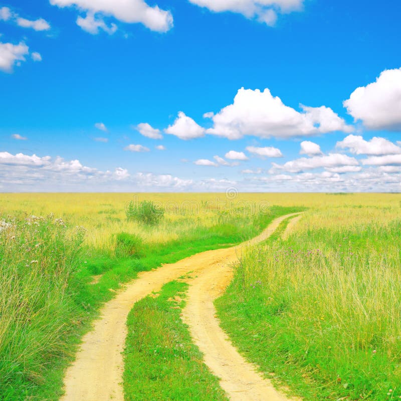 Road to heaven stock photo. Image of beautiful, long, farm - 6251494