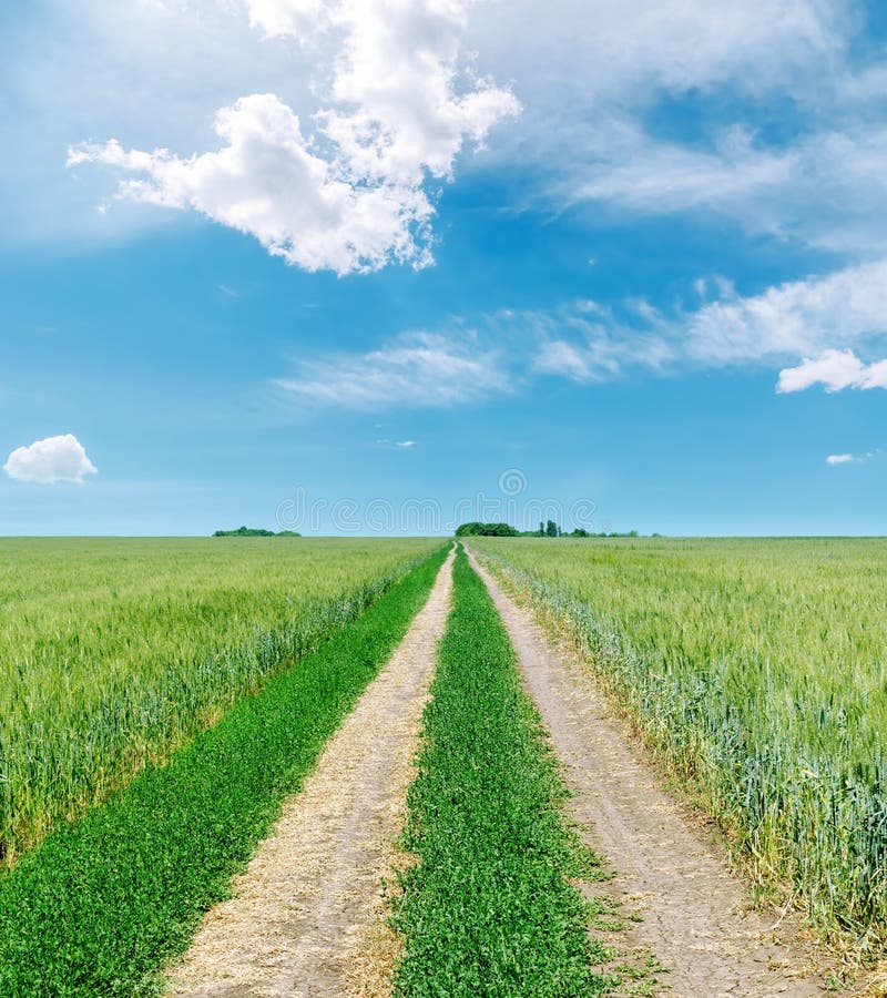 Road To Horizon in Green Fields and Blue Sky with Clouds Stock Image ...