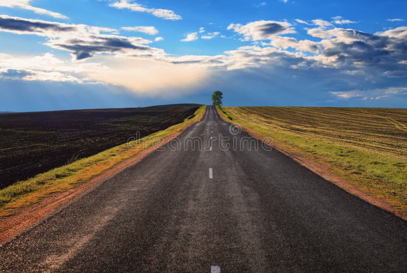Road To the Horizon with a Tree and Clouds Stock Image - Image of road ...