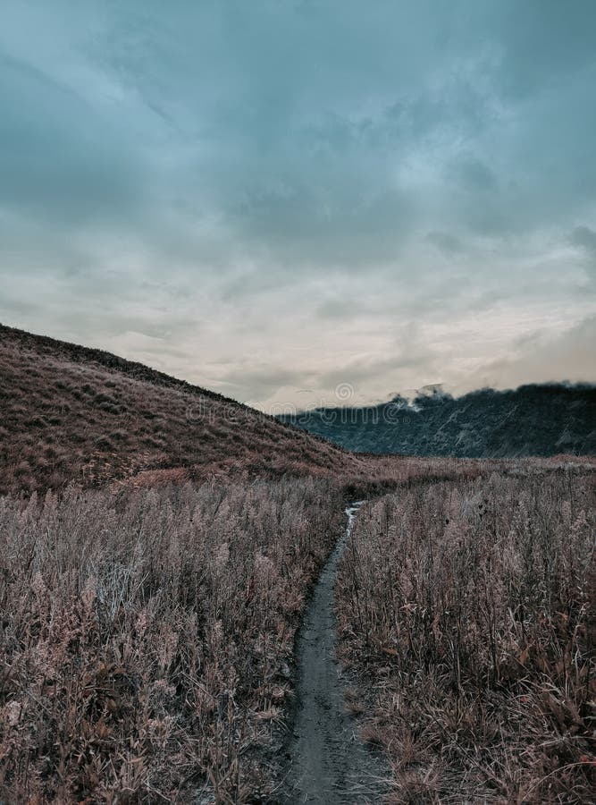 The road to infinity stock image. Image of morning, soil - 262030433
