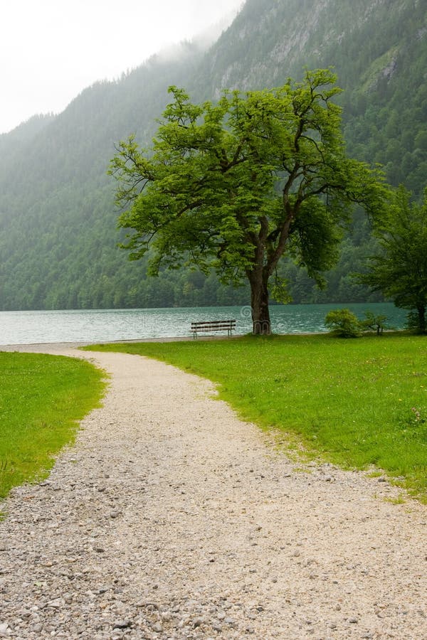 Road to the lake stock photo. Image of background, desolate - 6855784