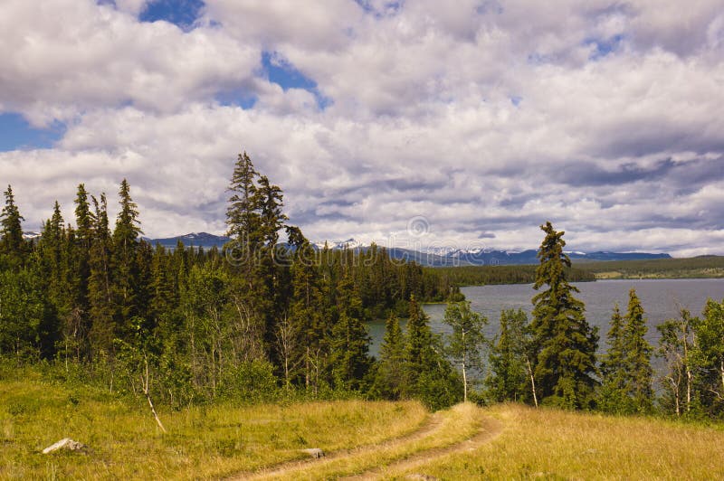 Road to the lake stock photo. Image of mountain, wilderness - 270586690