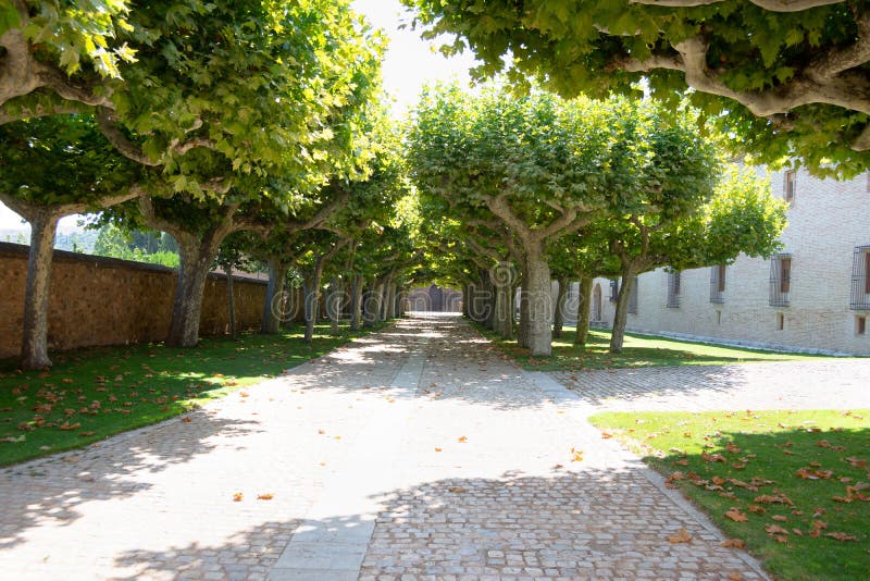 Road to the monastery stock image. Image of europe, shadows - 159234231