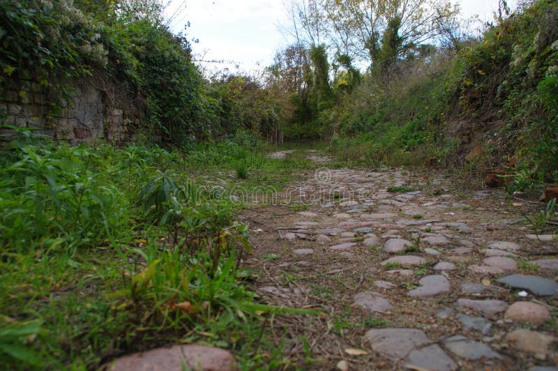 Old Cobblestone Road among Ruins and Trees Stock Image - Image of stone ...