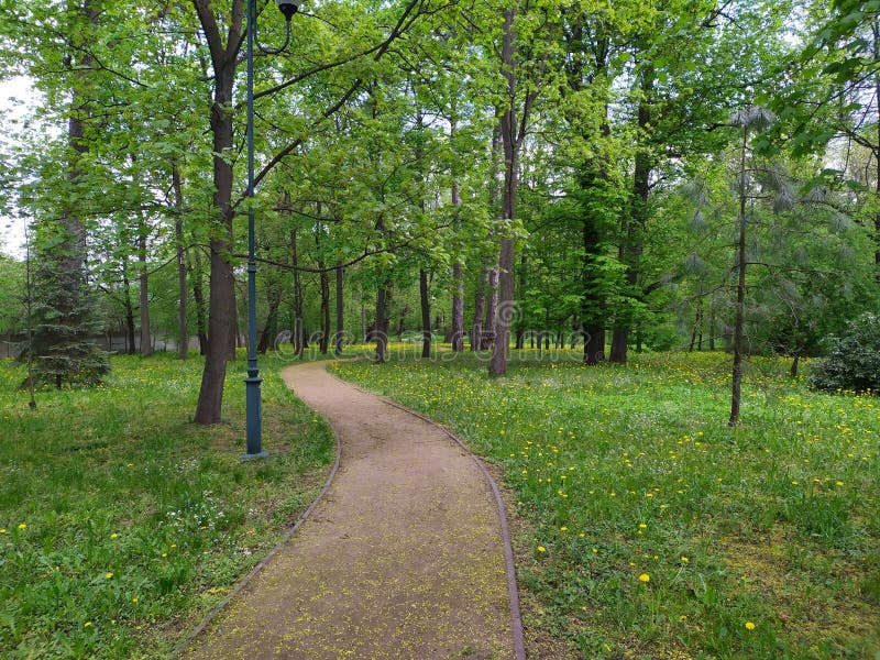 Road To the Park Time for Change Sign Green Grass Nature Landscaping ...