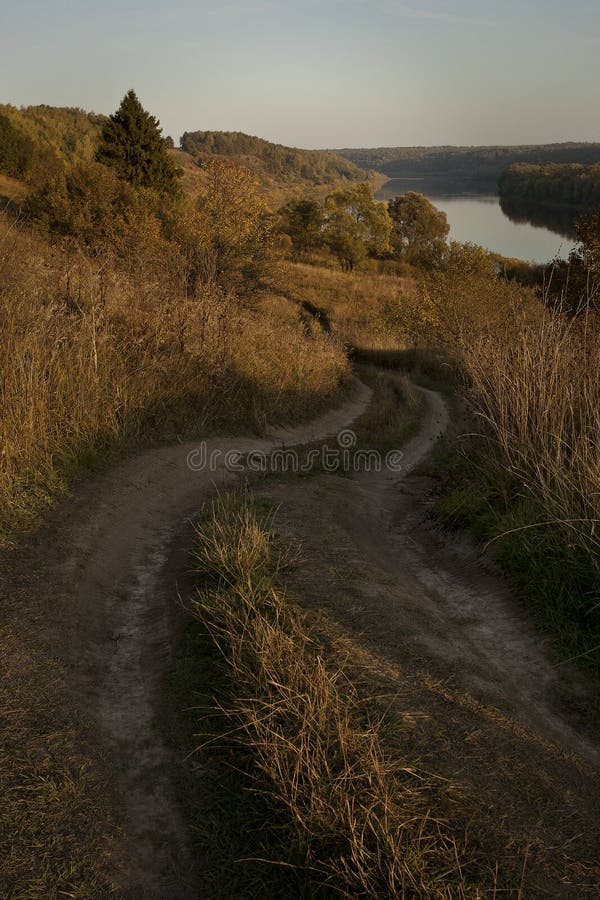 Road to the river stock photo. Image of river, trees - 51368916
