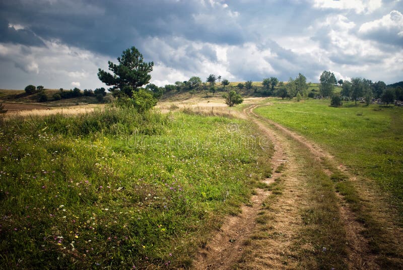 Road to somewhere. stock image. Image of dirt, trees - 15787233
