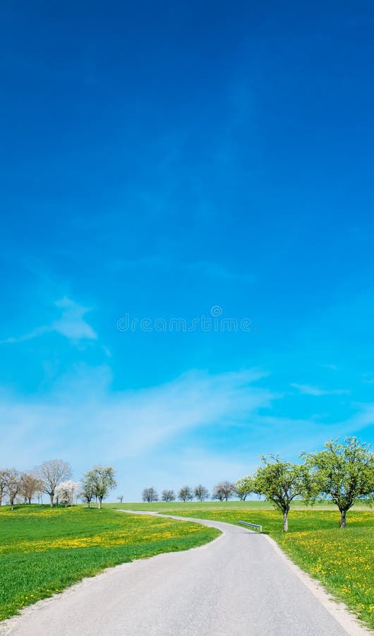 Road to the Spring stock image. Image of light, environment - 13972289