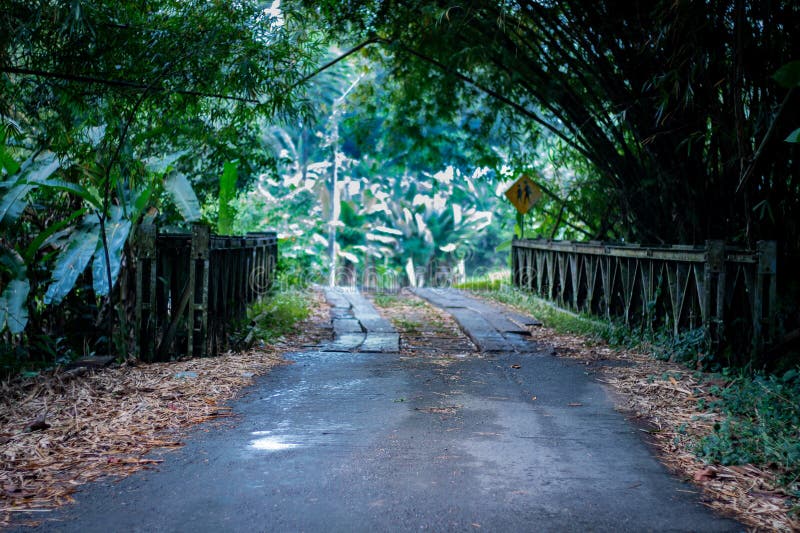 Road To Valle De Risco, Panama.?? Stock Image - Image of panama, nature ...
