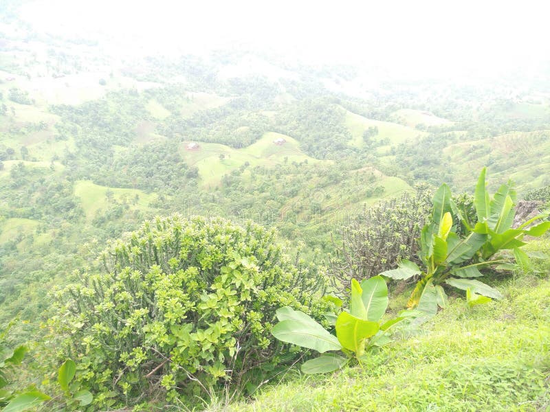 The nature stock image. Image of beauty, nature, maharastra - 138282175