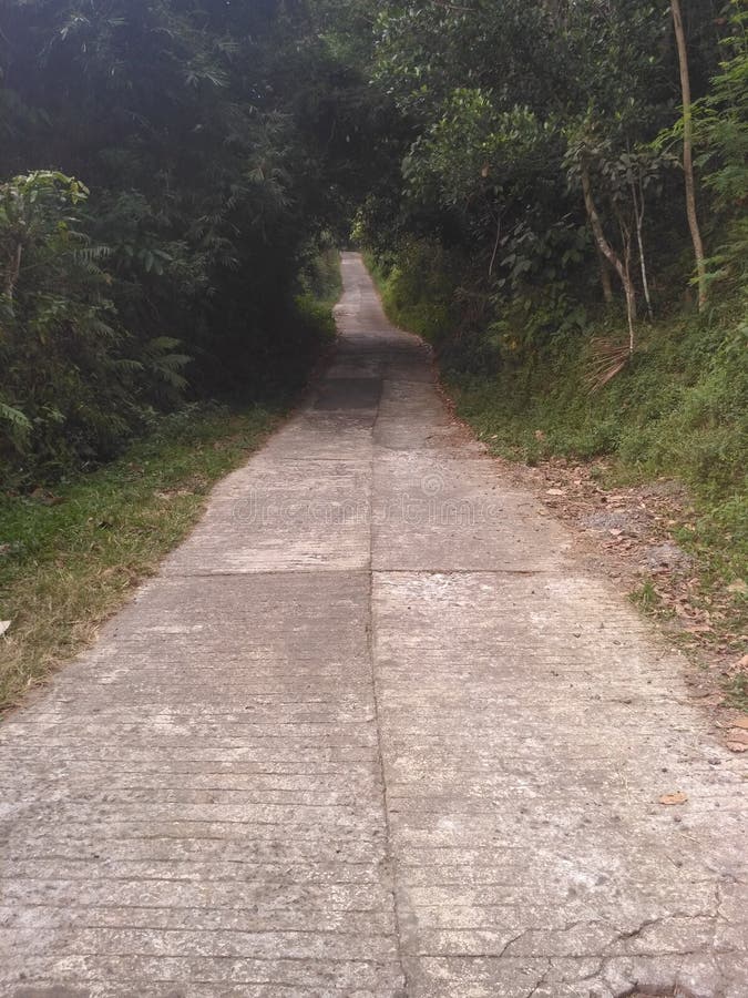 Road track high walkway stock image. Image of soil, trail - 229650025