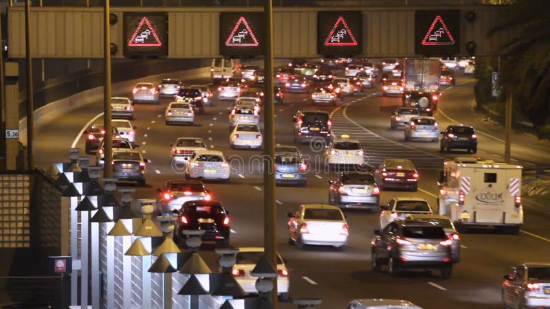 Road Traffic Near Water Animal Exhibition Park Stock Video - Video of ...