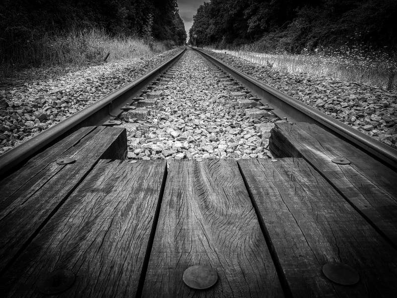 On the road train stock image. Image of white, road - 124695557