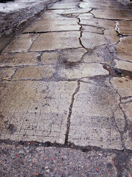 The Road less Travelled stock photo. Image of road, park - 113922