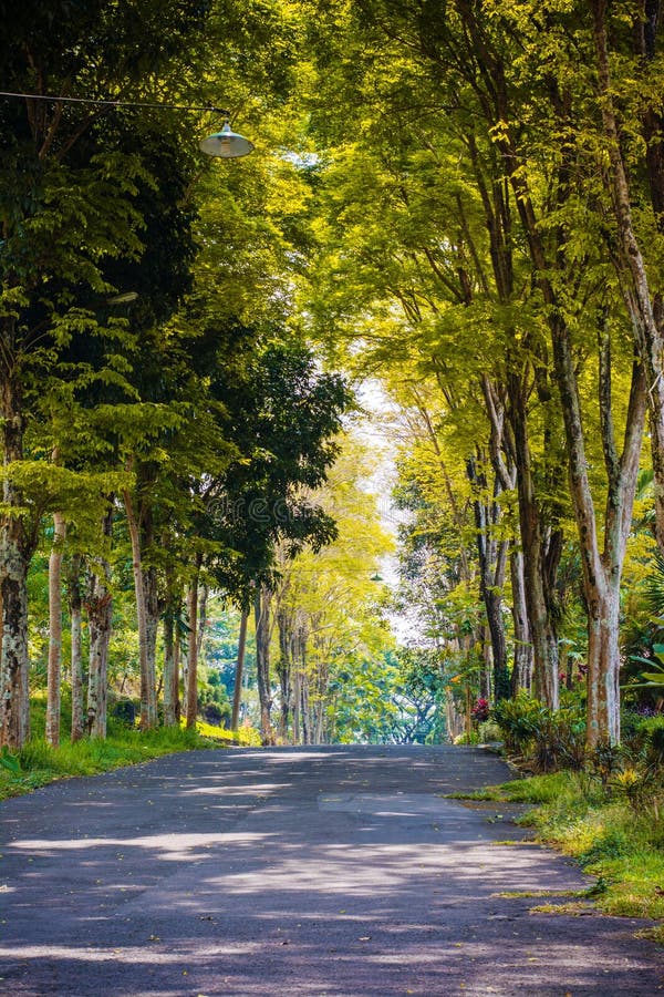 Trawas Malang Stock Photos - Free & Royalty-Free Stock Photos from ...