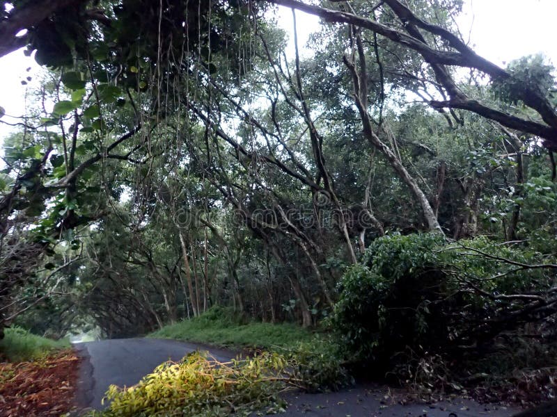 1,062 Debris Highway Stock Photos - Free & Royalty-Free Stock Photos ...