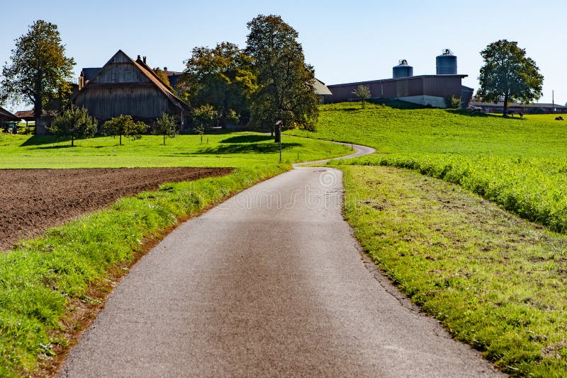 Road with Tree Going Off into the Horizon Stock Image - Image of path ...