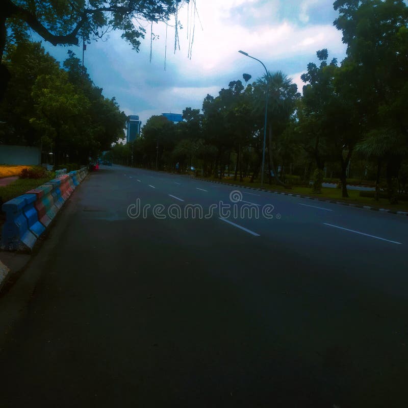 Road tree light stock photo. Image of night, plant, road - 223555008
