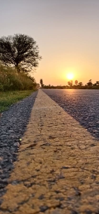 Road Tree sunset stock image. Image of dusk, dawn, sunset - 194894209