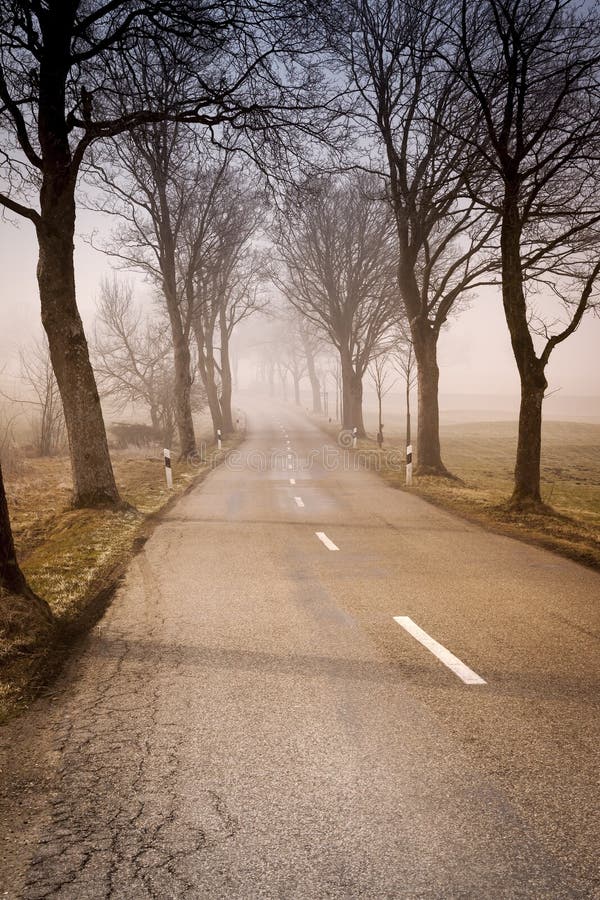 Road with trees stock photo. Image of leaves, landscape - 26742286