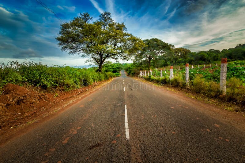 Road with Trees at Both Side- Coimbatore Tamil Nadu India Stock Photo ...