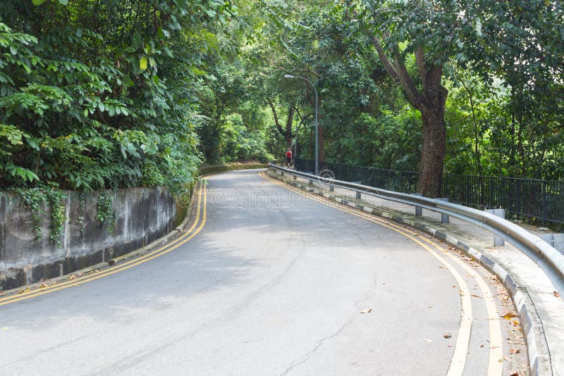 Road with Trees on Both Sides. Stock Photo - Image of highway, lane ...