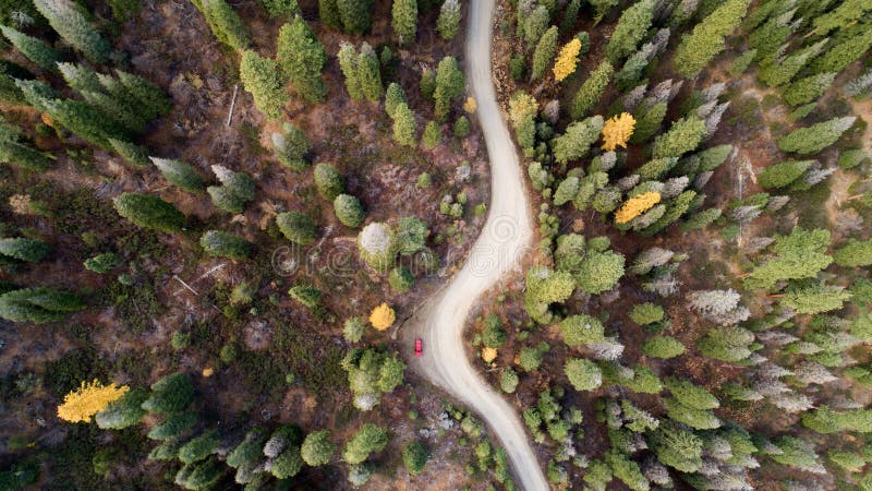 A Road with Trees on Both Sides Stock Image - Image of narrow ...