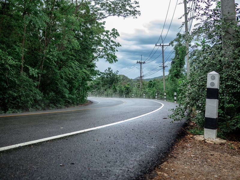 Road with Trees on Both Sides Stock Image - Image of light, forest ...