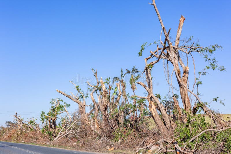 Road Trees Destroyed Hurricane Cyclone Weather Stock Image - Image of ...
