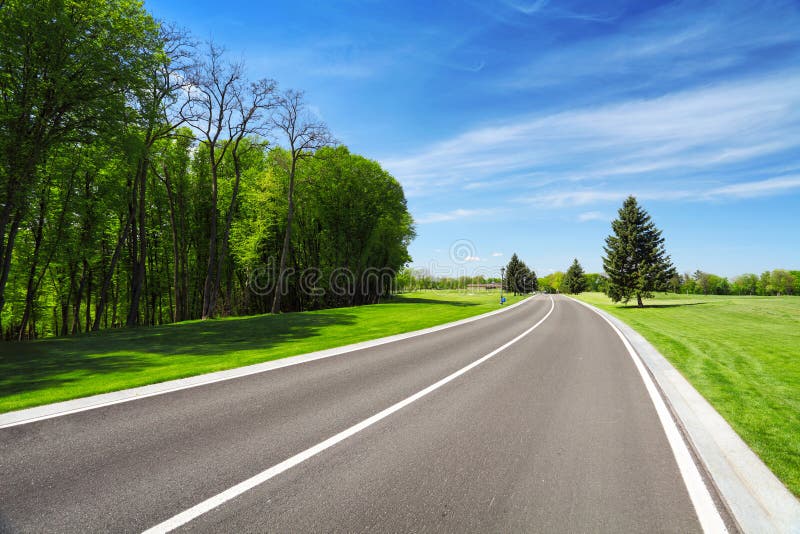 Road Between Trees And Grass On Roadside Stock Photo - Image: 42260726