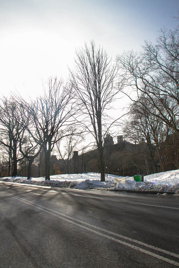 Road and Trees at a Park in Winter Stock Image - Image of white, city ...