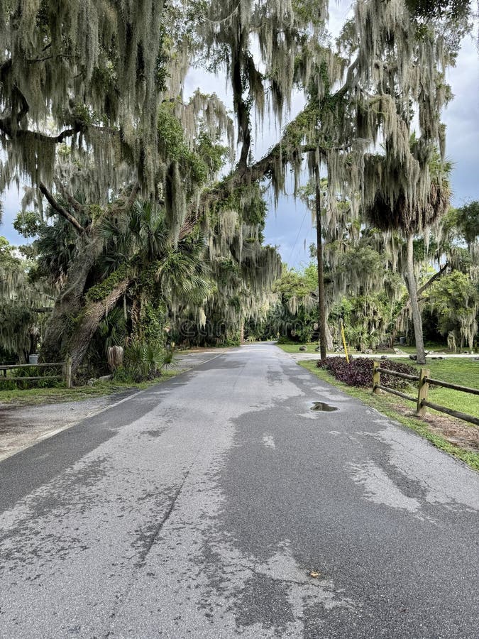 The Road into Trimble Park an Orange County Park Stock Photo - Image of ...