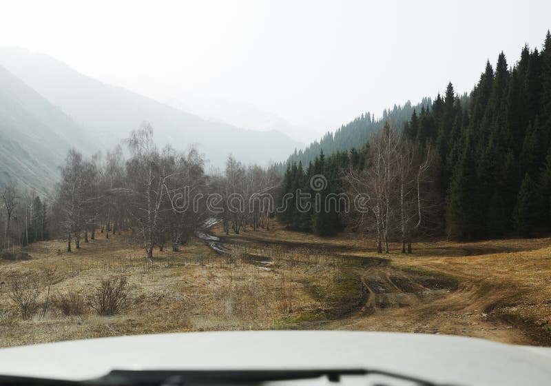 Road Trip through the Nature of Europe. Car Point of View Stock Photo ...