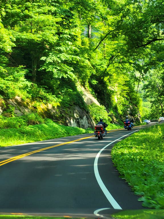 Road trip USA stock photo. Image of green, grass, highway - 262223816