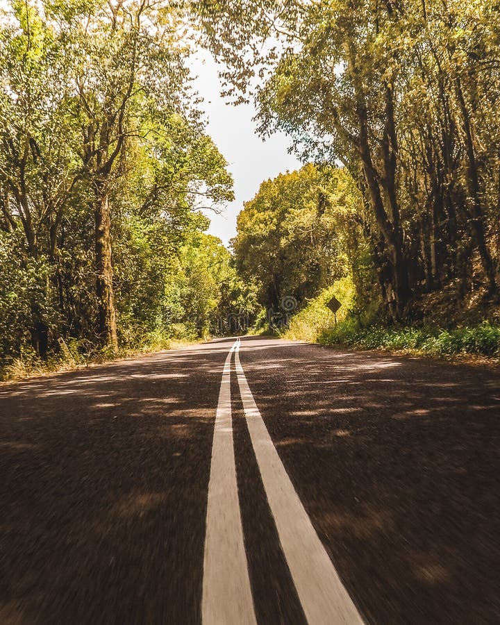 Road trip view stock photo. Image of beautiful, color - 141452552