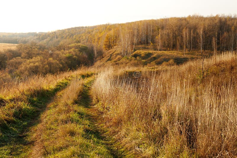 Road Turn in Mountains stock photo. Image of narrow, country - 62561508