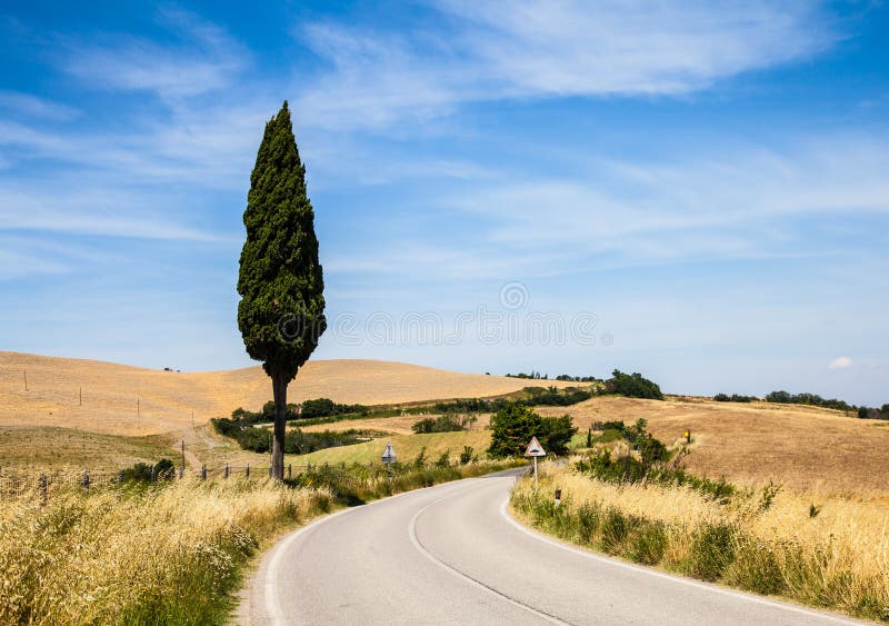 Road in Tuscany stock photo. Image of italy, tuscan, drive - 25902856