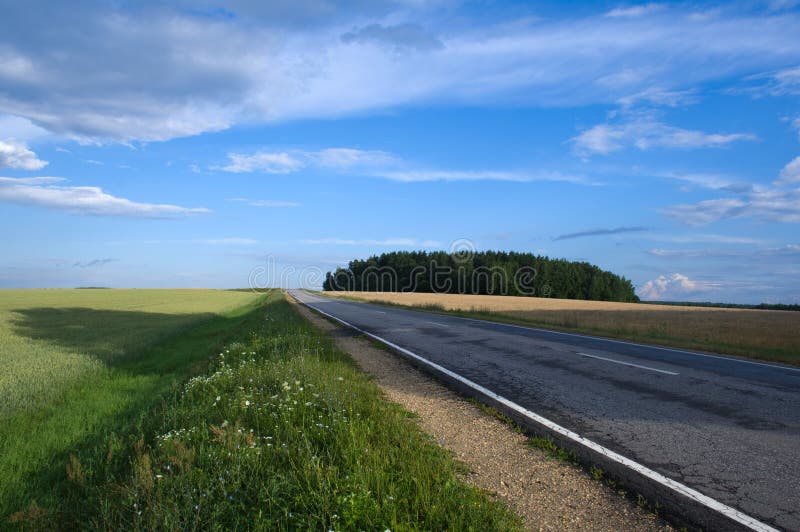 The Road between Two Fields Stock Image - Image of line, asphalt: 258358747