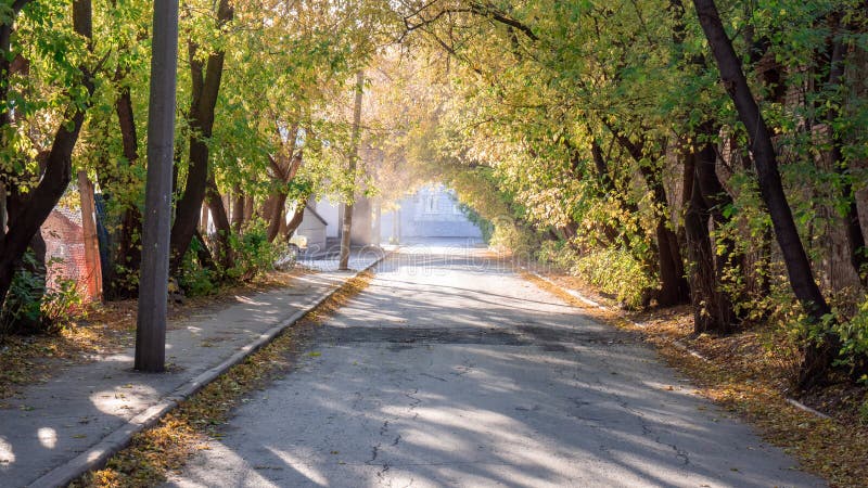 Road Under the Arch of Big Trees 2 Stock Photo - Image of bright ...