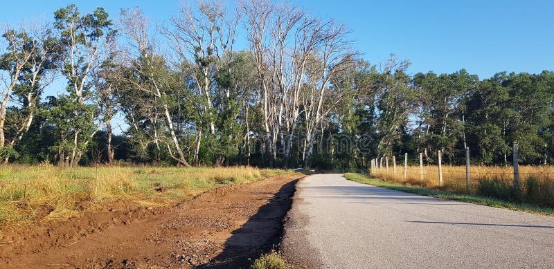 Road Under Construction Leading To a Forest. Stock Image - Image of ...