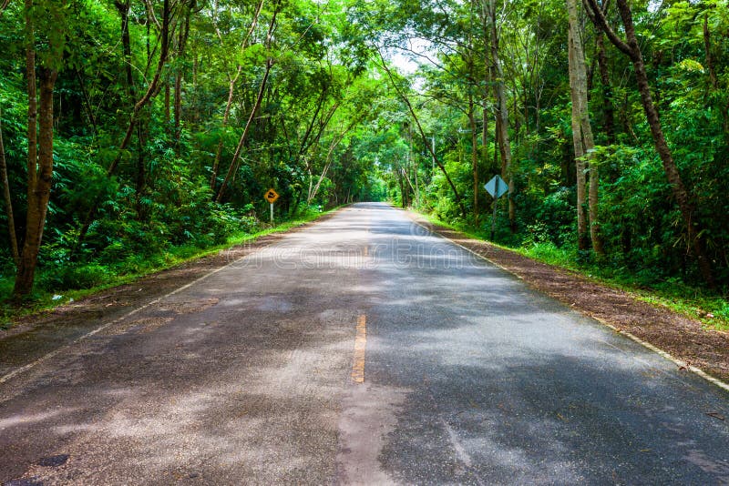 Road up to the mountain stock photo. Image of mountains - 248510702