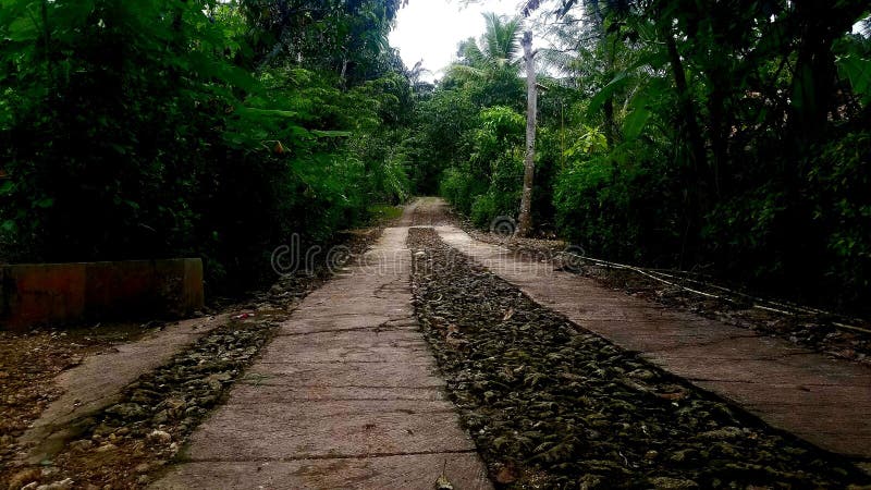 The Road is Uphill in a Village in the Afternoon and the Sun is Dim ...