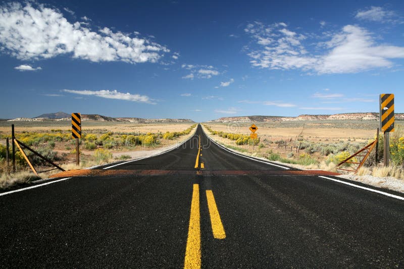 Road in USA stock photo. Image of traffic, details, cows - 7398968