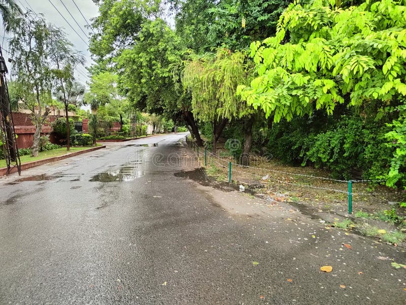 Road View with Greenery stock photo. Image of trail - 250951372