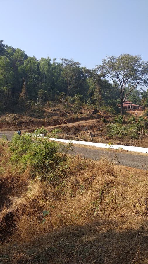 Road in village stock photo. Image of nature, road, grass - 210495602