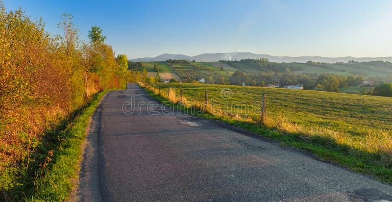Road in a village stock photo. Image of meadow, summer - 77663202