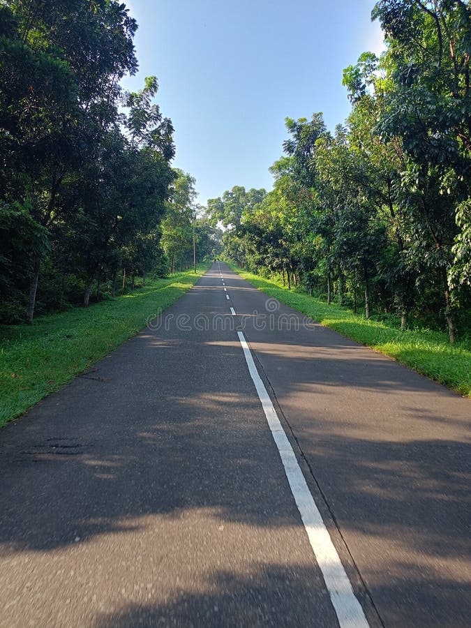 The Road in the Village is so Beautiful with Trees? Stock Photo - Image ...