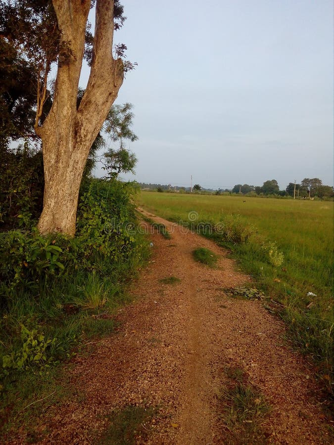 Village road stock image. Image of site, village, road - 100698541