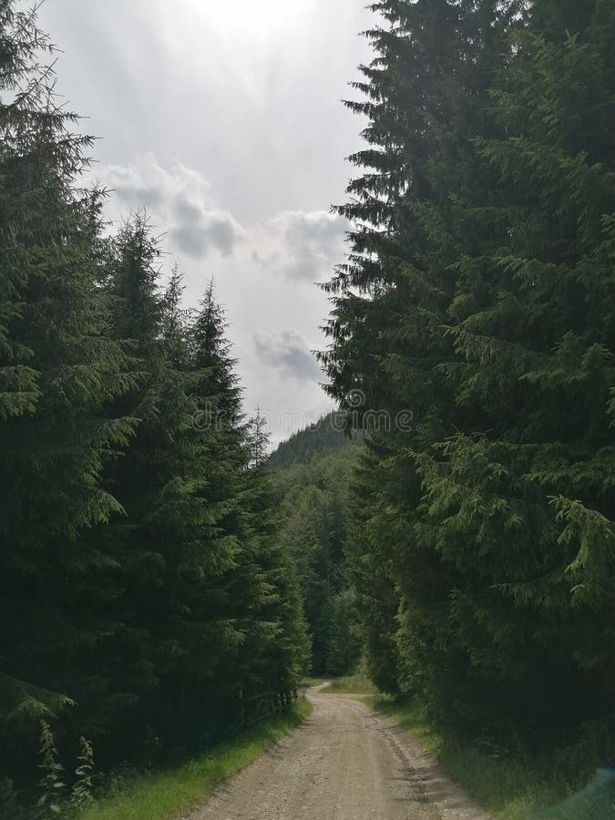 Valea Cheii Stock Photos - Free & Royalty-Free Stock Photos from Dreamstime