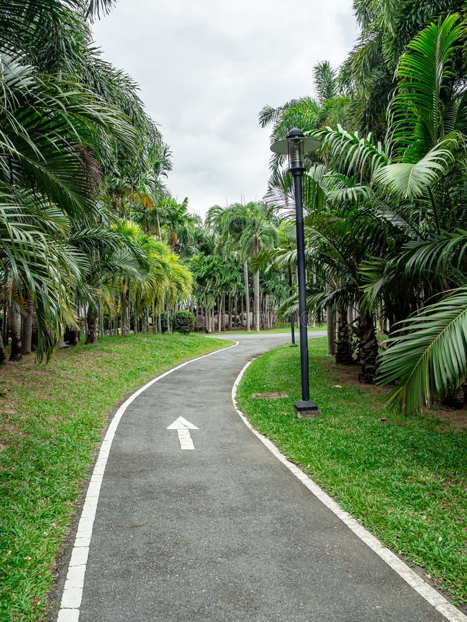 Road, Walkway and Running in the Park Stock Image - Image of green ...
